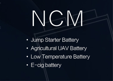 Quality Electric Aircraft Battery & UAV Drone Battery factory from China