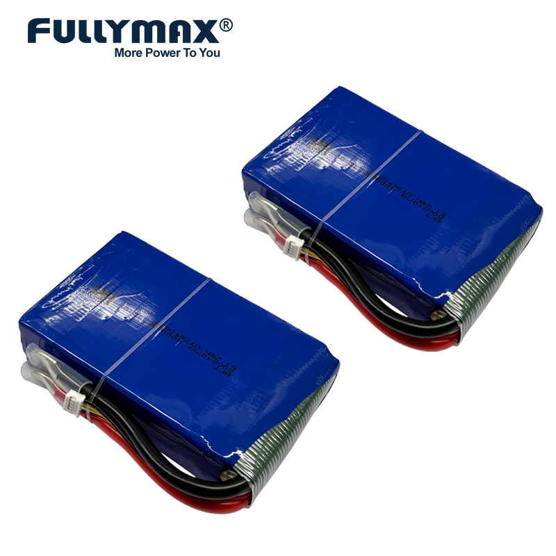 6000mAh 12.8V 45C 600A LiFePO4 Battery Quick Start Battery Jump Starter ...